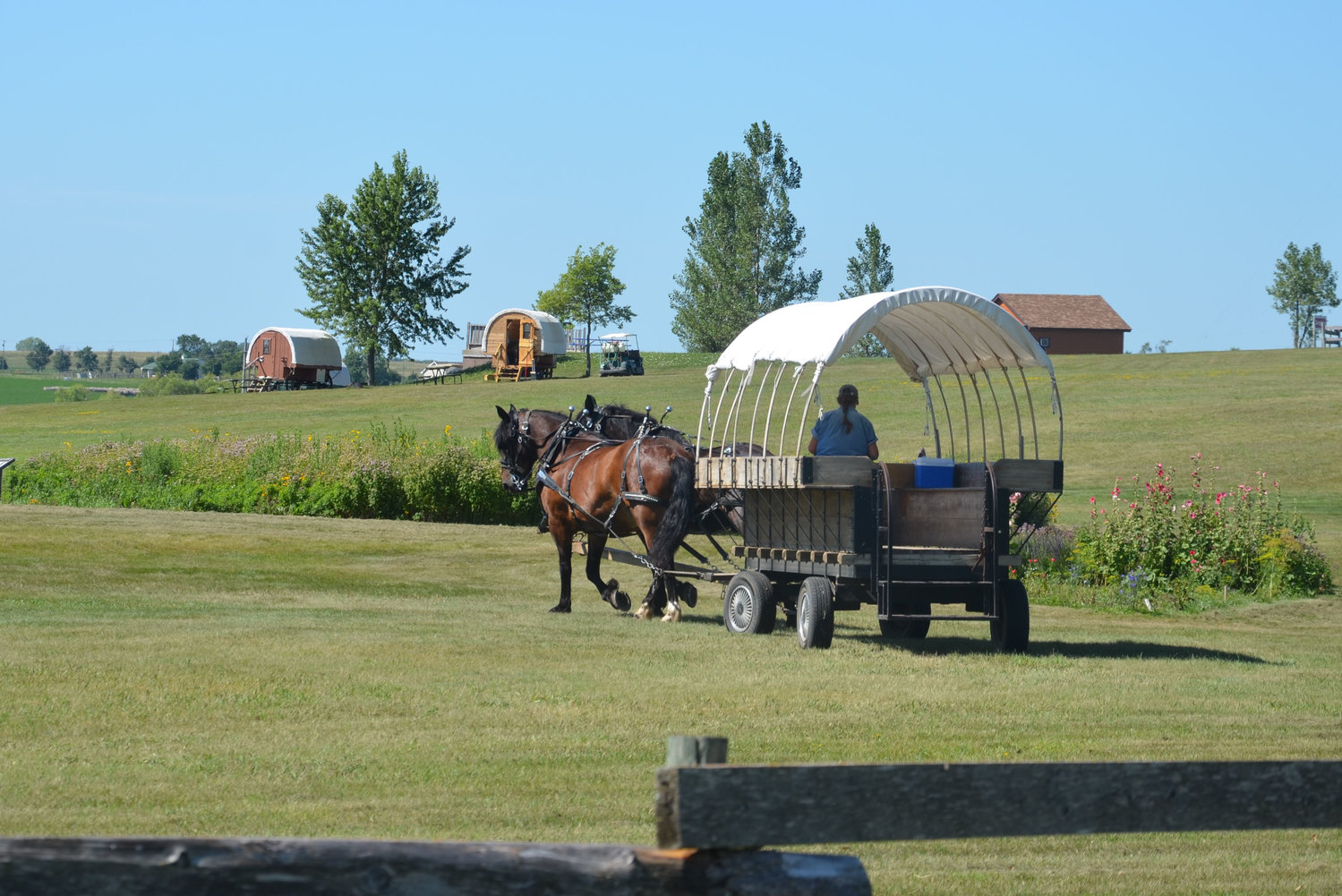 Wagon driver | Kingsbury Journal