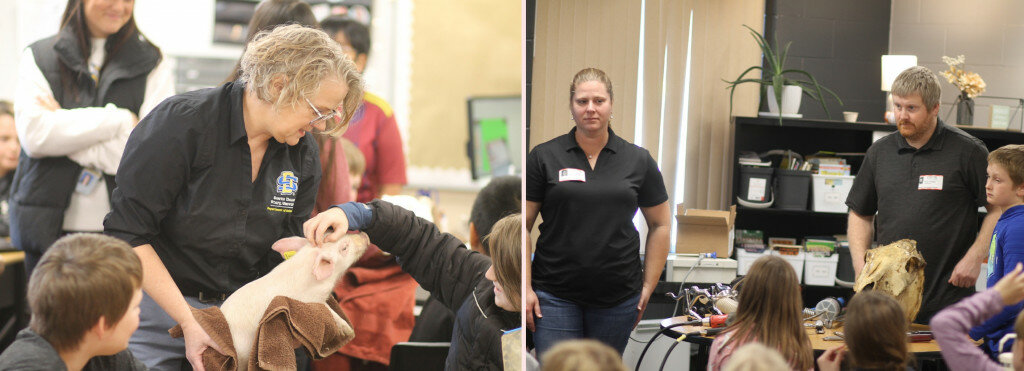 Hands-on teaching in Brookings: Educator for a Day program benefits ...
