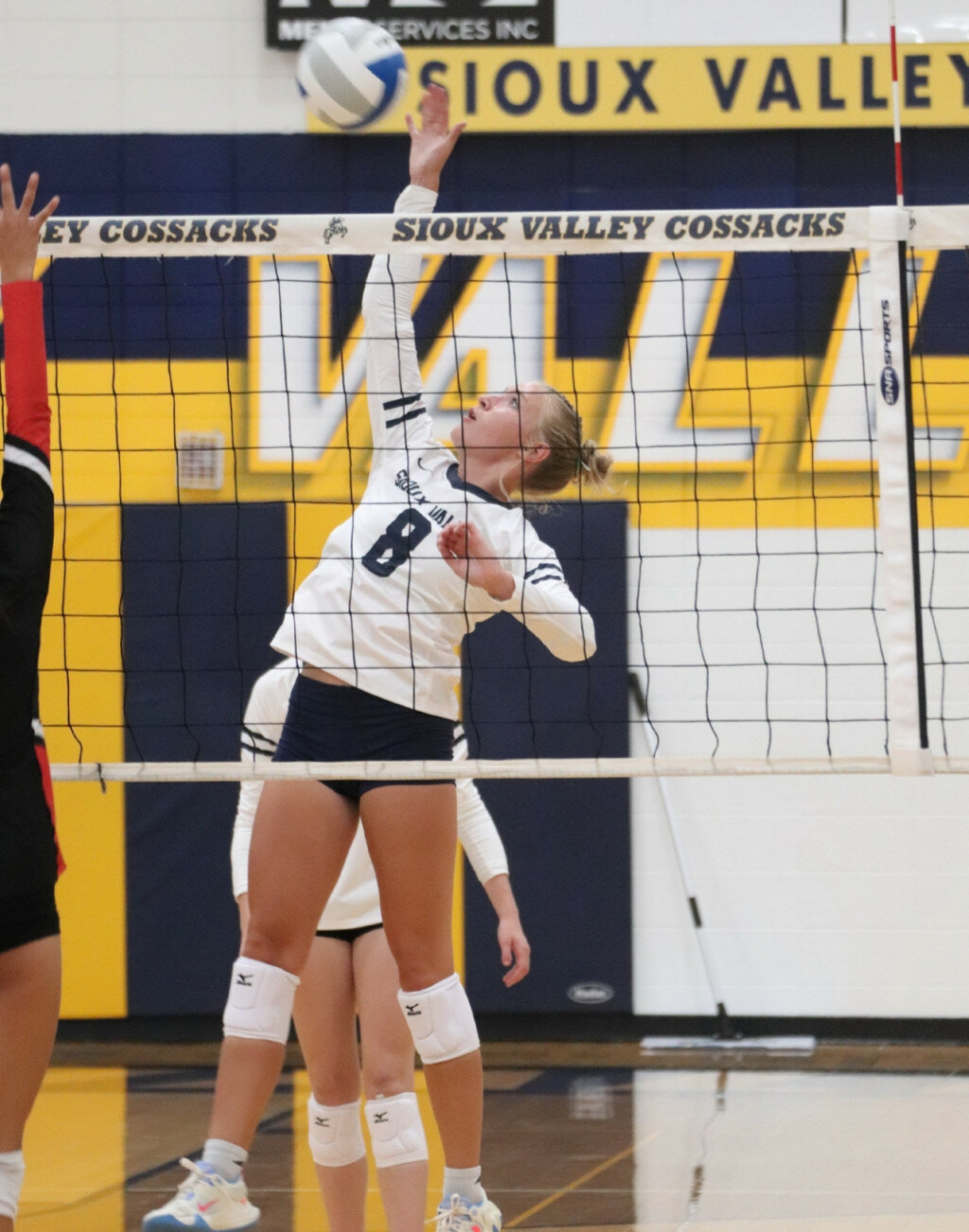 High school volleyball: Sioux Valley drops season opener in five sets ...