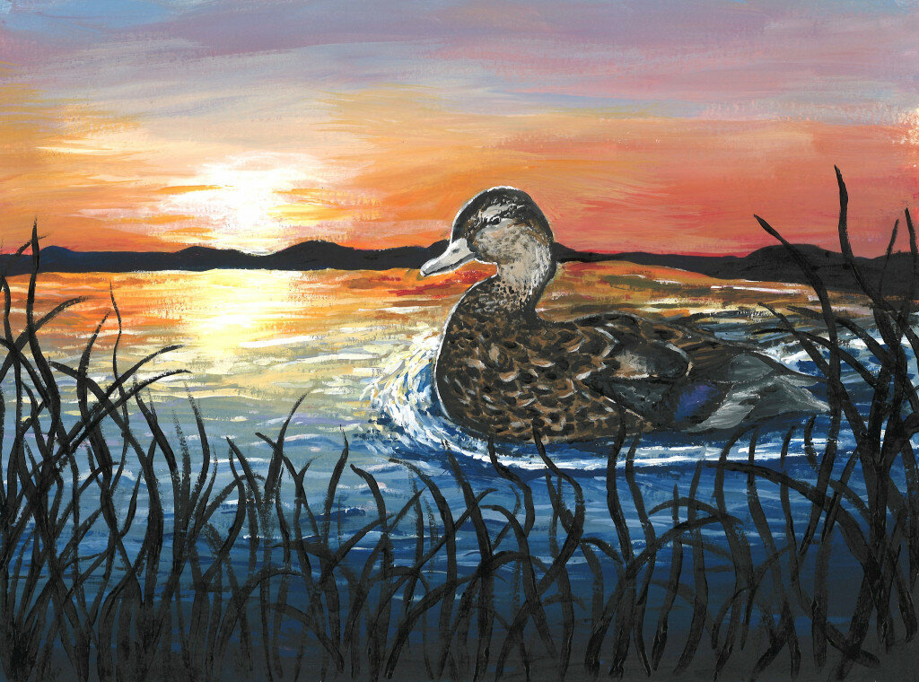 S.D. junior duck stamp winners announced - The Daily Plainsman
