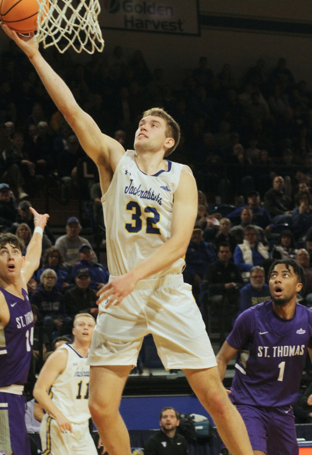College men's basketball: An improved Matt Dentlinger to play big role ...