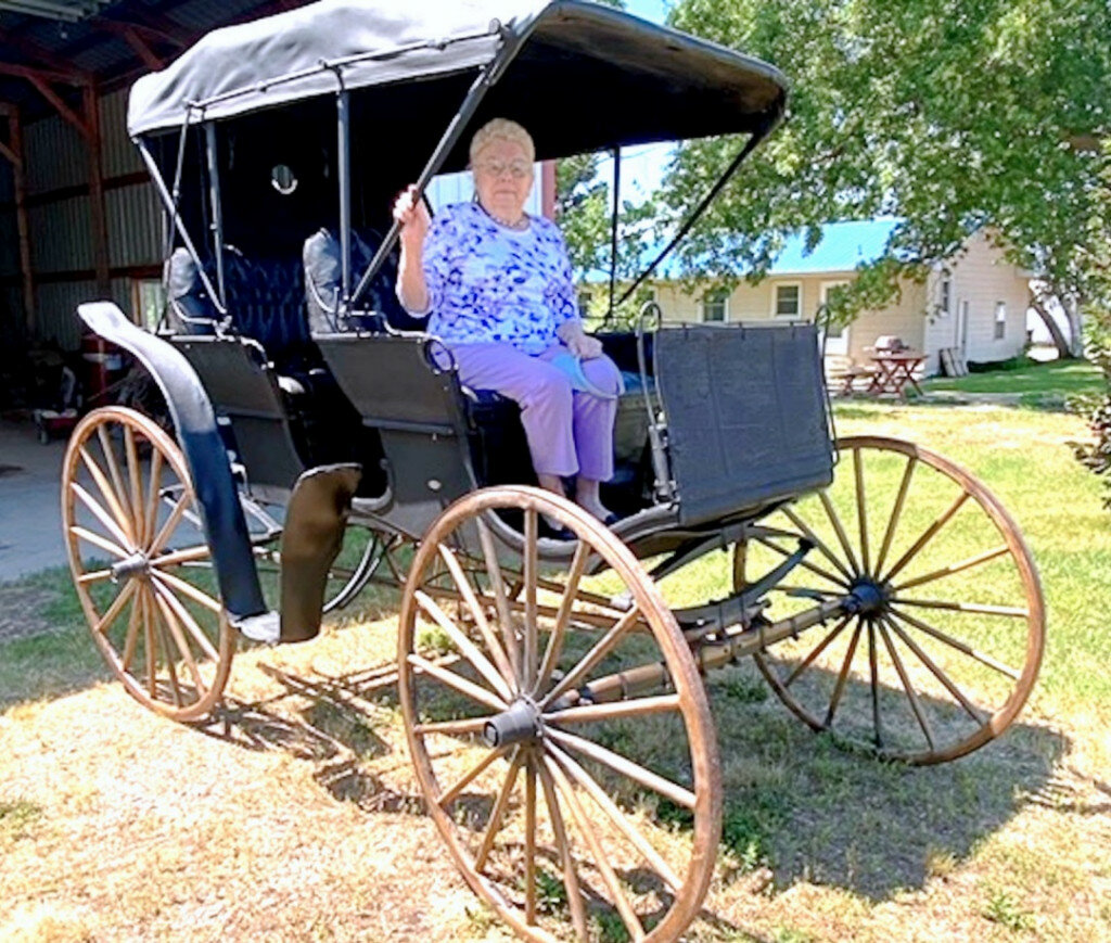 Brookings County Museum receives surrey donation - Brookings Register