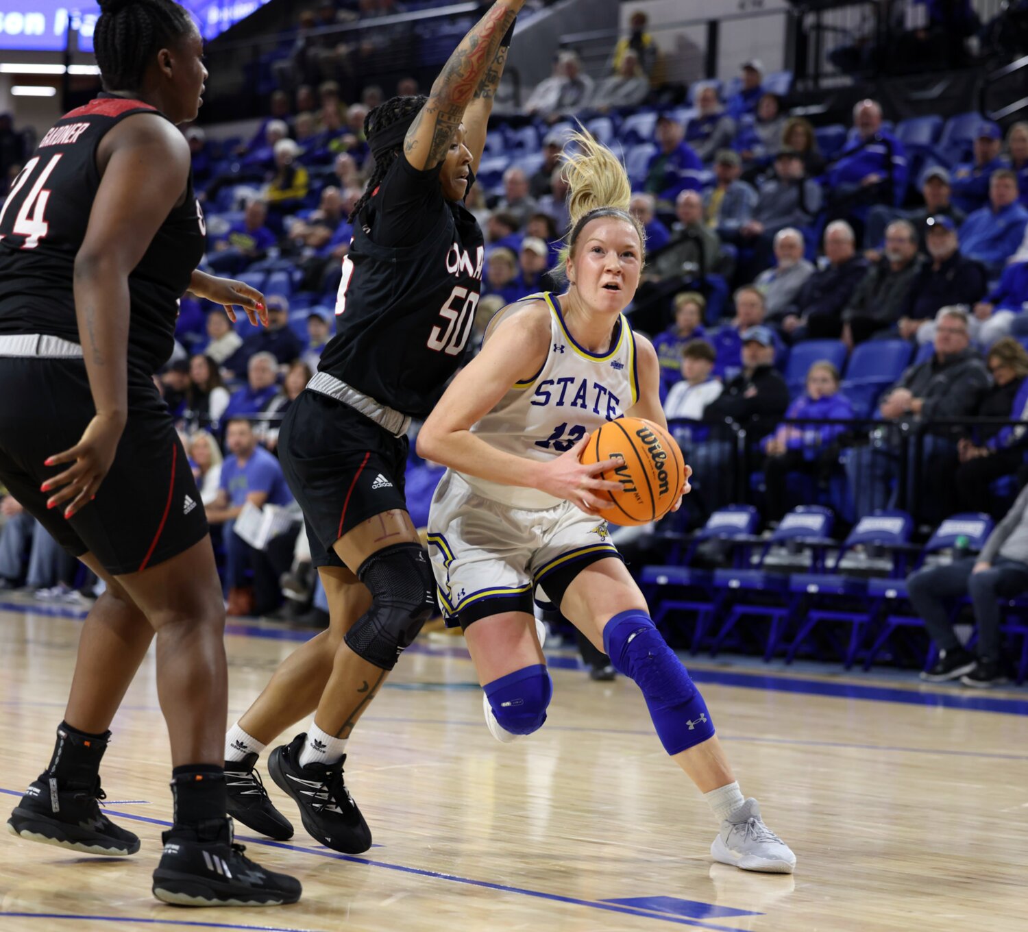 South Dakota State's Haleigh Timmer named Academic All-American ...