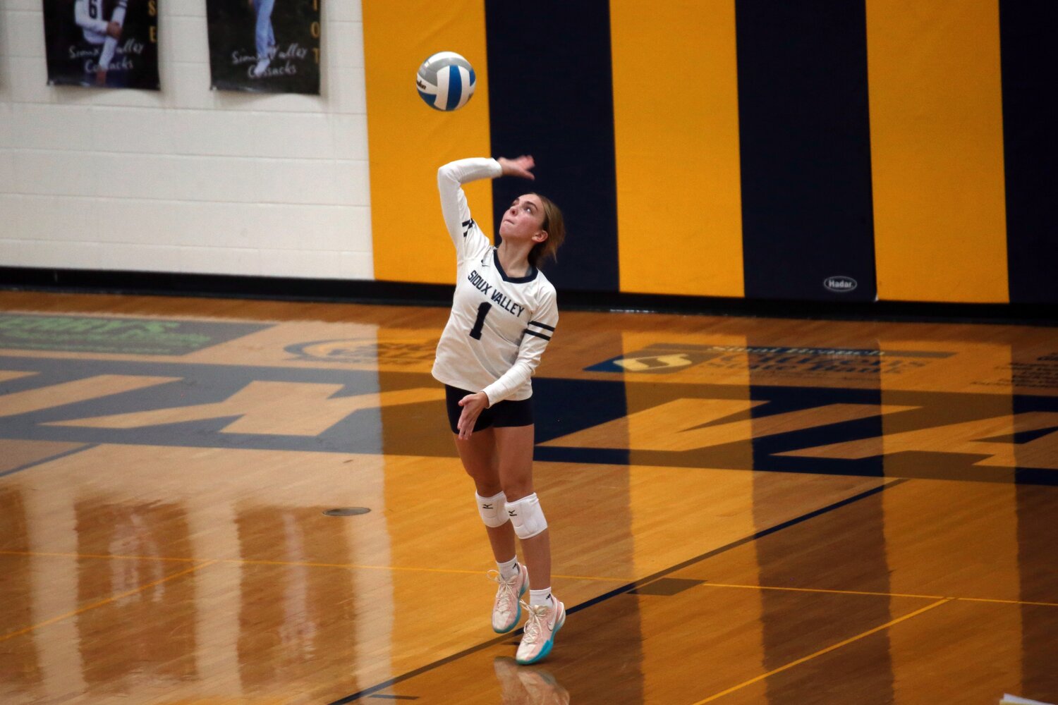 Cossacks sweep Fliers in Volga - Brookings Register