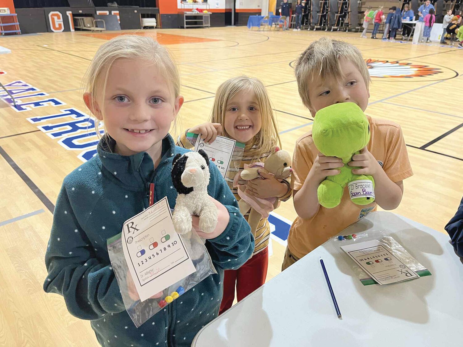Stuffed animals get a checkup at Iroquois HOSA's Teddy Bear Clinic ...