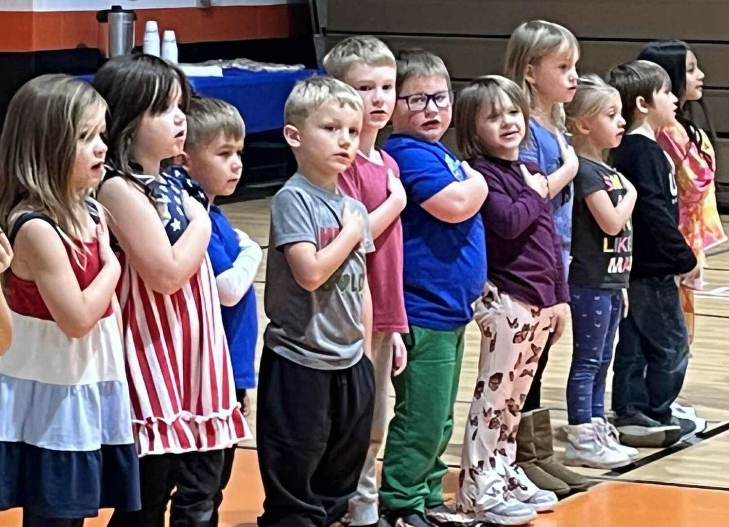 Heartland Veterans Day programs in Hitchcock, Iroquois - The Daily ...