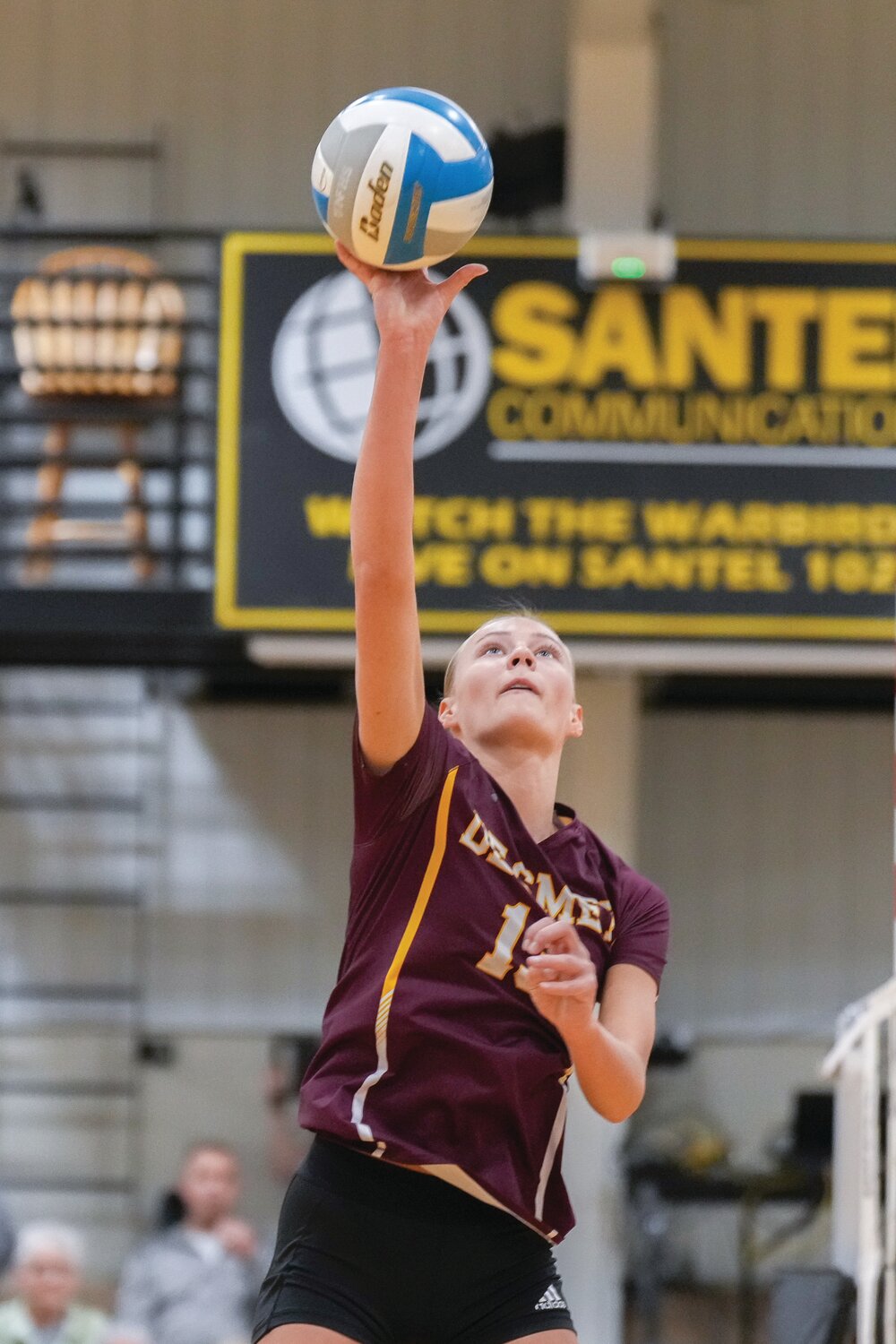 Trio of area seniors names to Class B all-state team - The Daily Plainsman