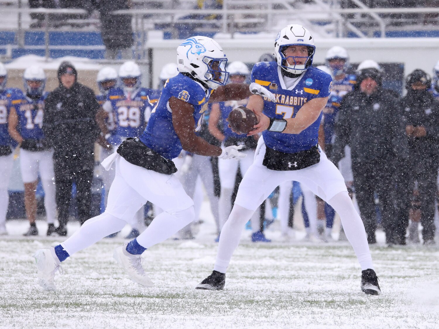 Jackrabbits, Grizzlies set to meet in postseason again - Brookings Register