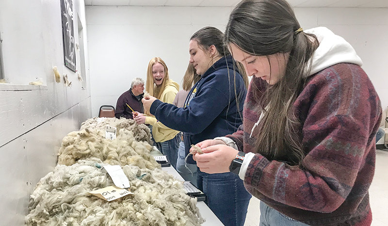Powell-Shoshone FFA competes in first-ever wool judging competition ...