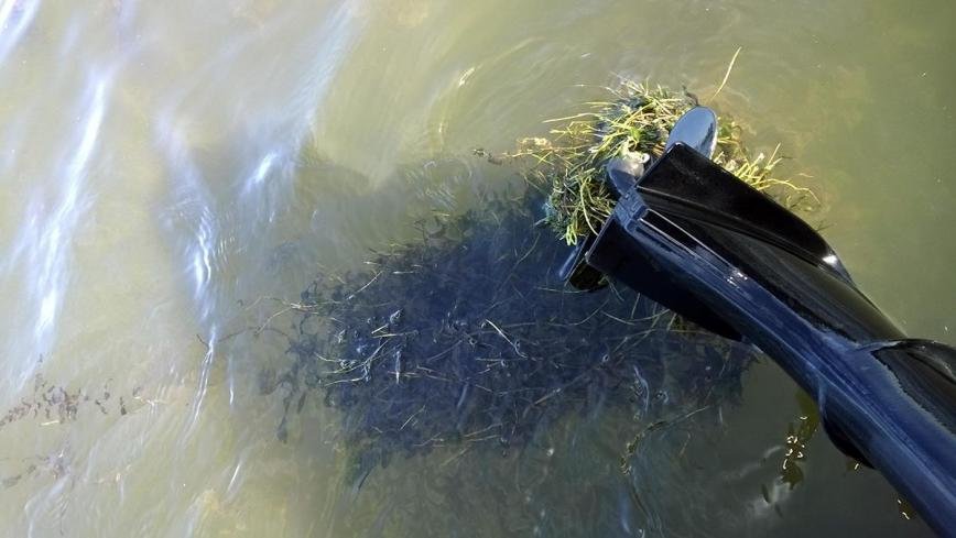 State Of Severna Park: The Environment | Severna Park