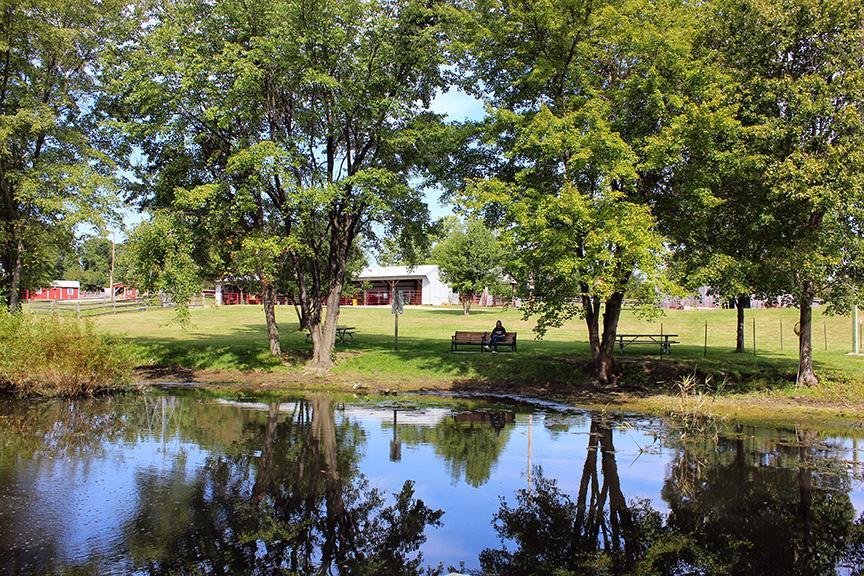 Kinder Farm Park Announces Winners Of The 2014 Life In The Park ...
