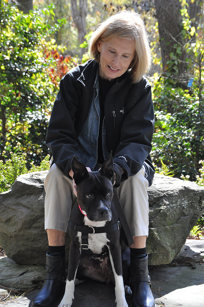 Chartwell Resident Aims To Bring Joy To Senior Dogs | Severna Park