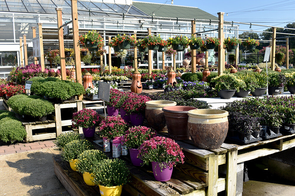 Homestead Gardens: Rooted In The Community | Severna Park