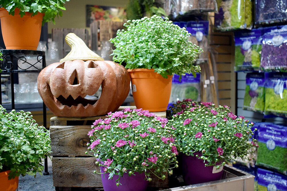 Homestead Gardens: Rooted In The Community | Severna Park