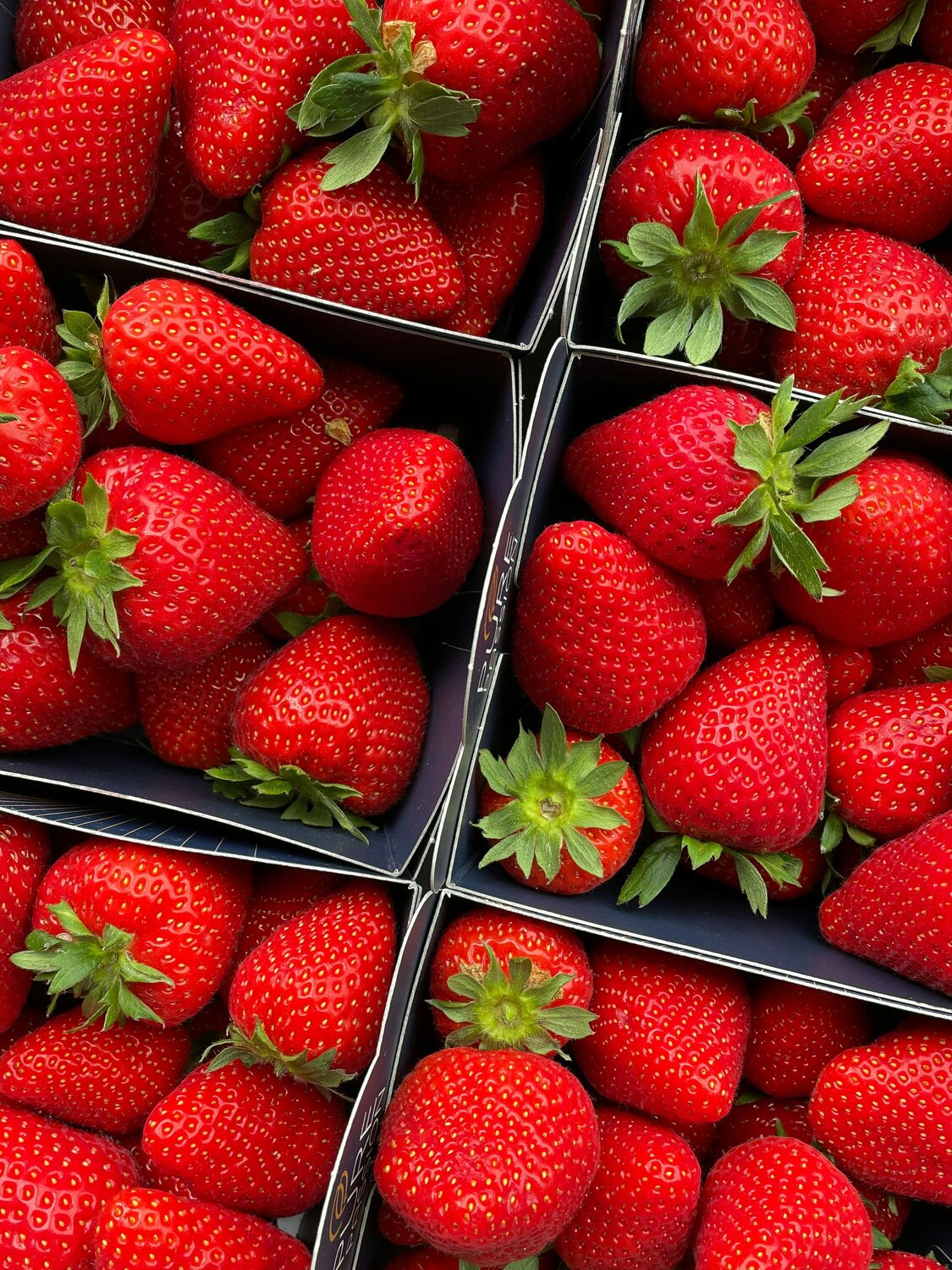 Cape St. Claire Set To Host Annual Strawberry Festival | Severna Park