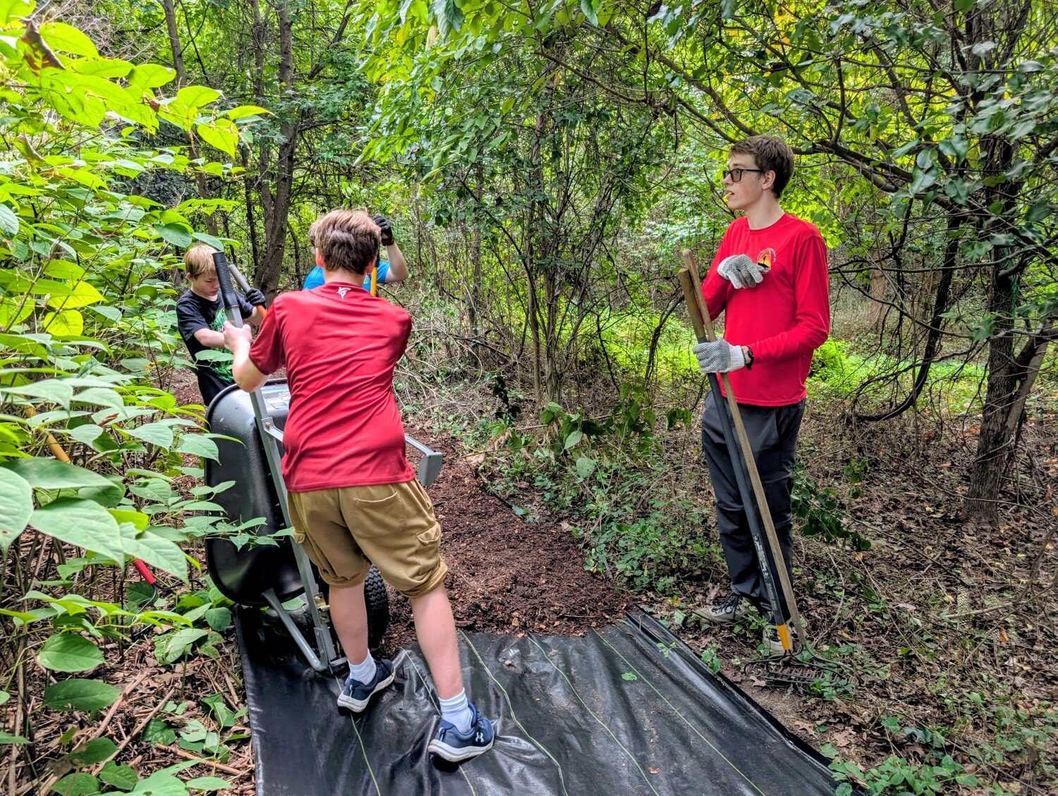 Eagle Scout Project Improves Access To Kinder Farm Park’s Cattail Pond ...