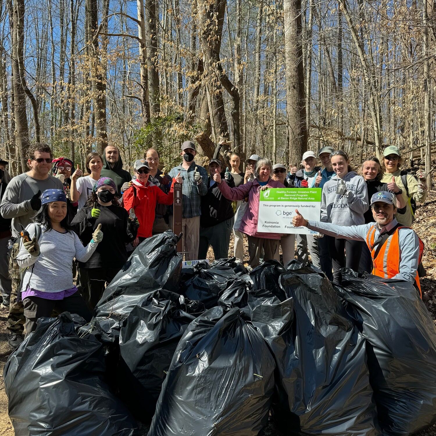 Healthy Forests Workday: Invasive Plant Removal at Bacon Ridge Natural ...